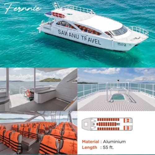 Speed Catamaran Phuket Tour to Phi Phi with Maya Bay, Phi Leh Lagoon ...