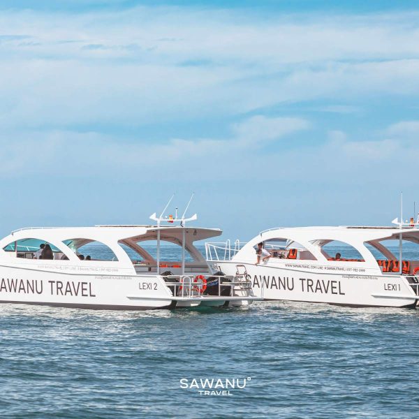 Speed Catamaran Phuket Tour to Phi Phi with Maya Bay, Phi Leh Lagoon ...